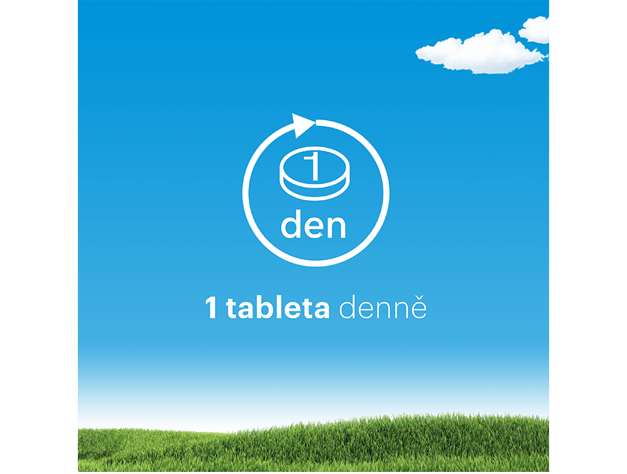 Tablety Claritine – úleva od příznaků alergie na 24 hodin